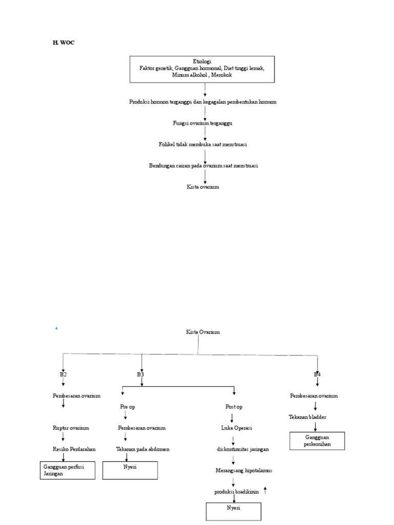 Woc Kista Ovarium | PDF