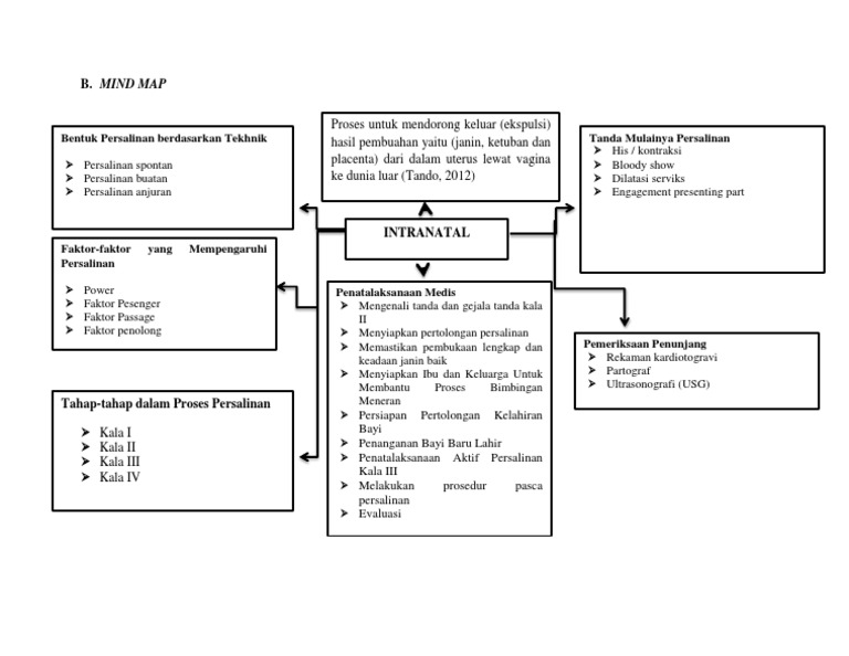 Mind Map Intranatal | PDF