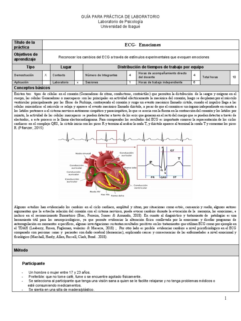 ECG - Guia Electrocardiograma y Emociones PDF | PDF ...
