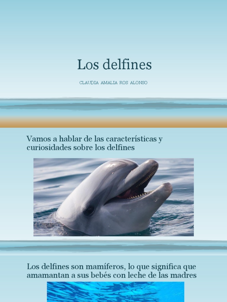 Los Delfines | PDF