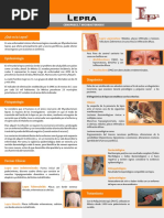 Historia Natural de La Lepra | PDF | Lepra | Enfermedades y trastornos