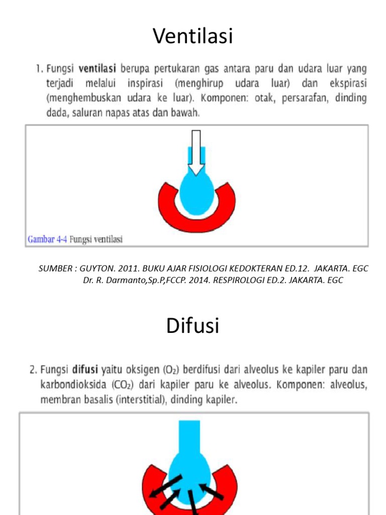 Ventilasi Difusi Perfusi | PDF