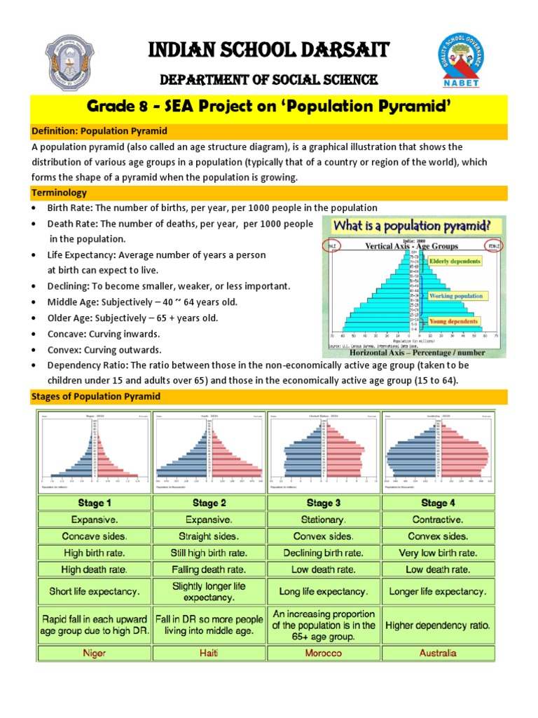 Geography Project - Grade 8 - Population Pyramid | PDF