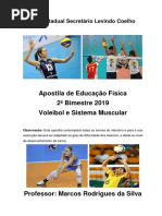 Sumula Voleibol | PDF