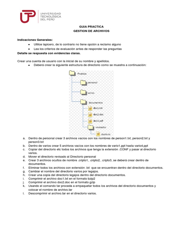 Guia - Practica - Gestion de Archivos | PDF | Usuario (informática) | Archivo de computadora