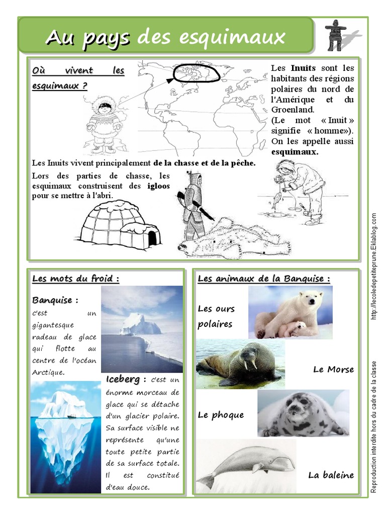 Vie et habitat des Inuits | PDF | Inuit | Banquise