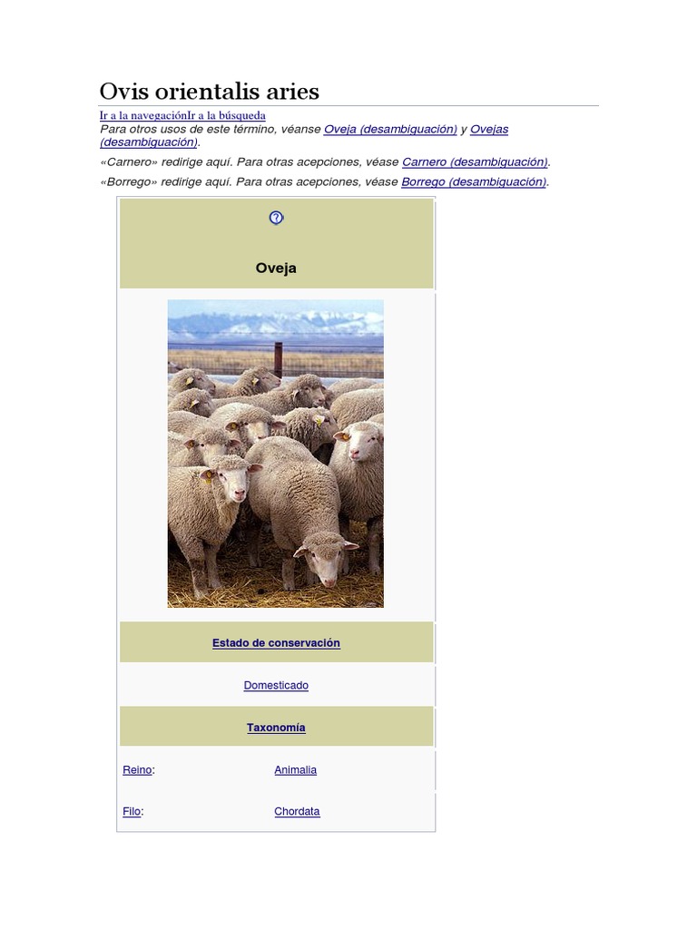 Ovis Orientalis Aries | PDF | Ovis | Oveja