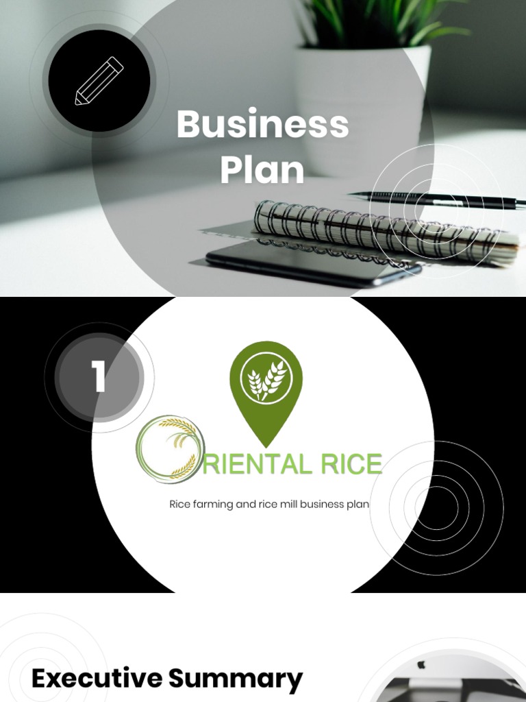 Rice Farming and Milling Business Plan | PDF | Retail | Prices