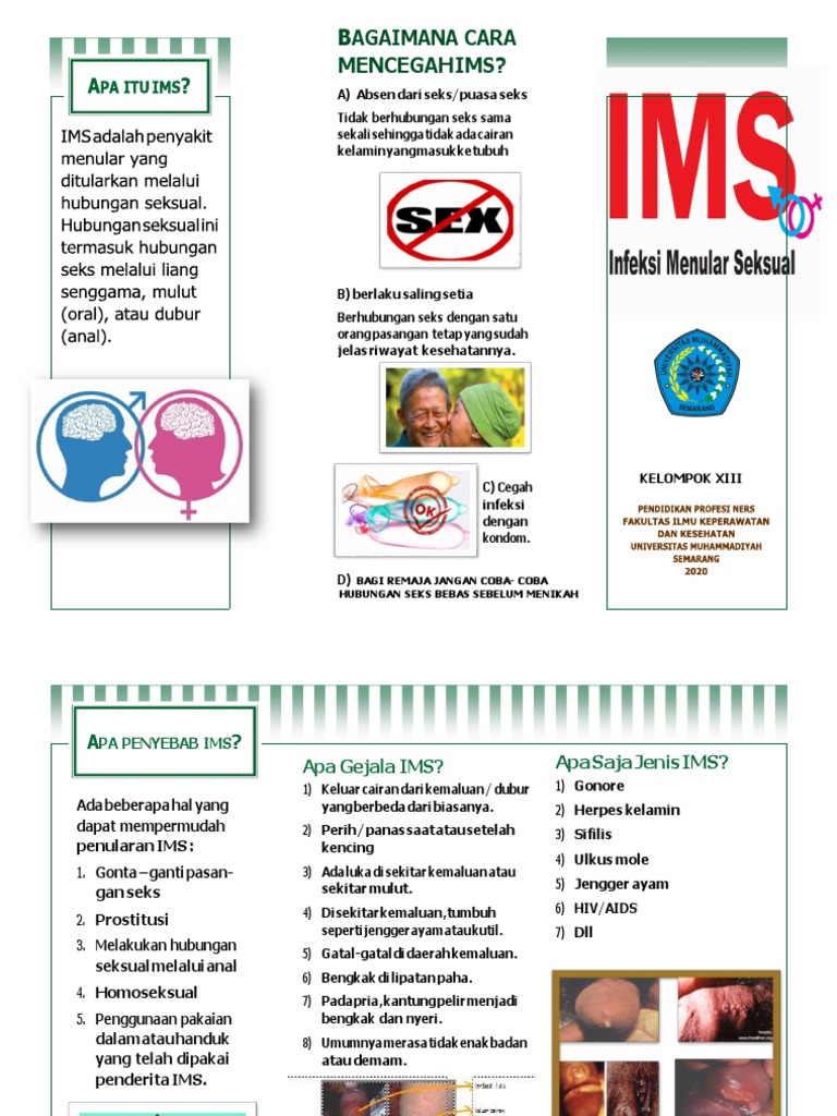 Leaflet IMS | PDF