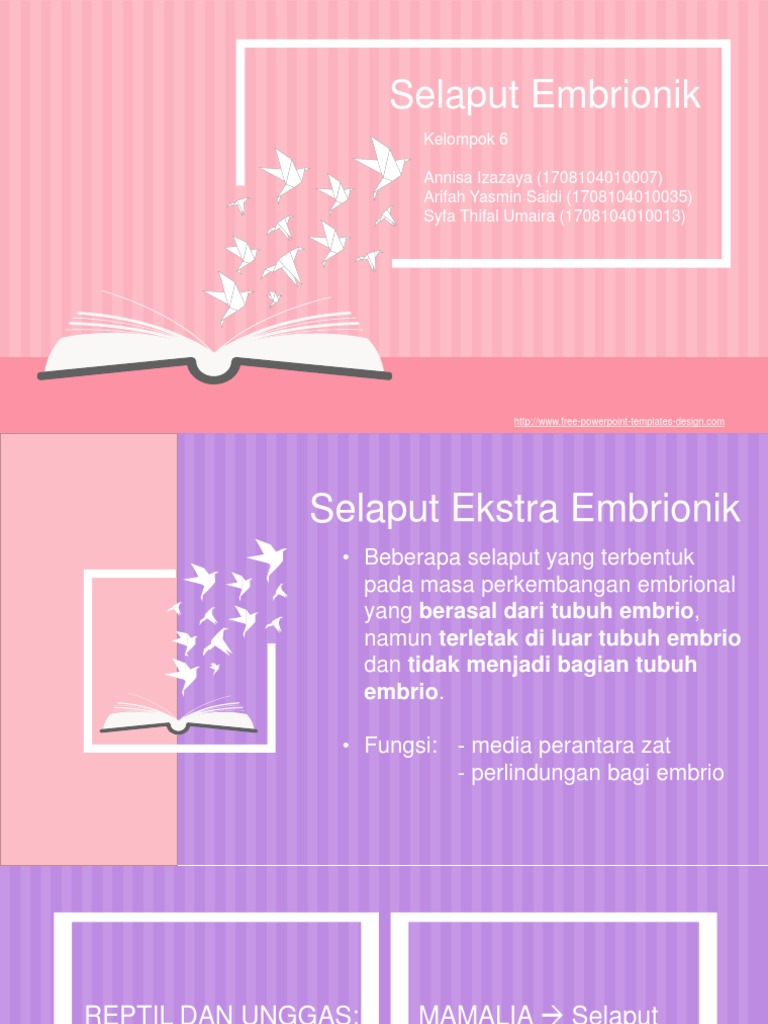 Selaput Ekstra Embrionik pada Hewan | PDF | Kesehatan Holistik