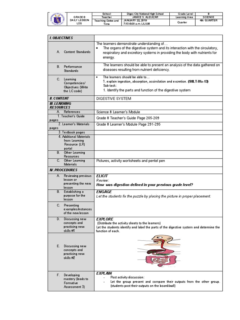 Digestive System Functions | PDF | Human Digestive System | Digestion