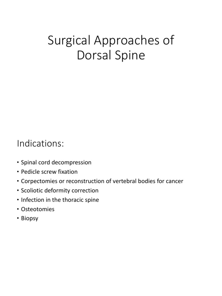 Surgical Approaches of Dorsal Spine | PDF | Vertebra | Vertebral Column