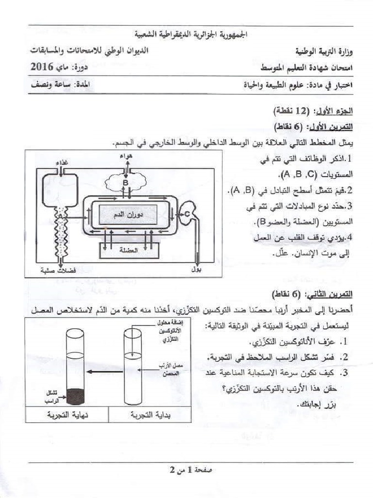 Dzexams 4am Sciences Bem 20161 1 PDF | PDF
