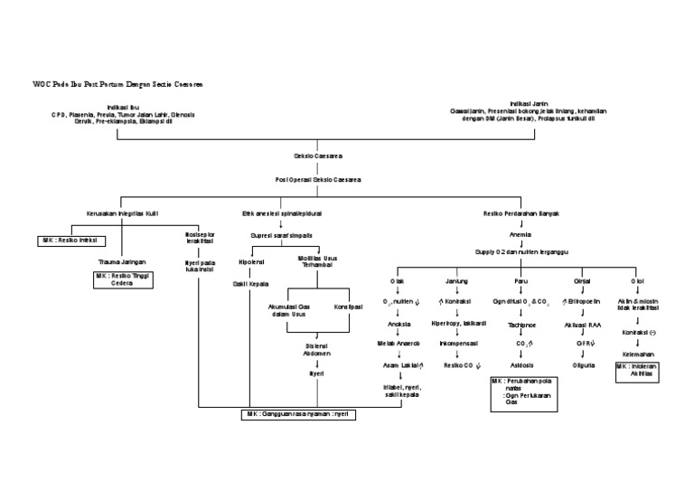 Woc Sectio Caesarea | PDF