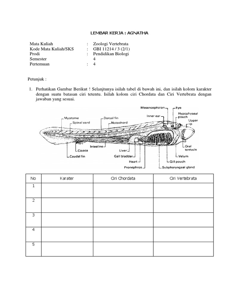 Agnatha: Ciri dan Klasifikasi | PDF