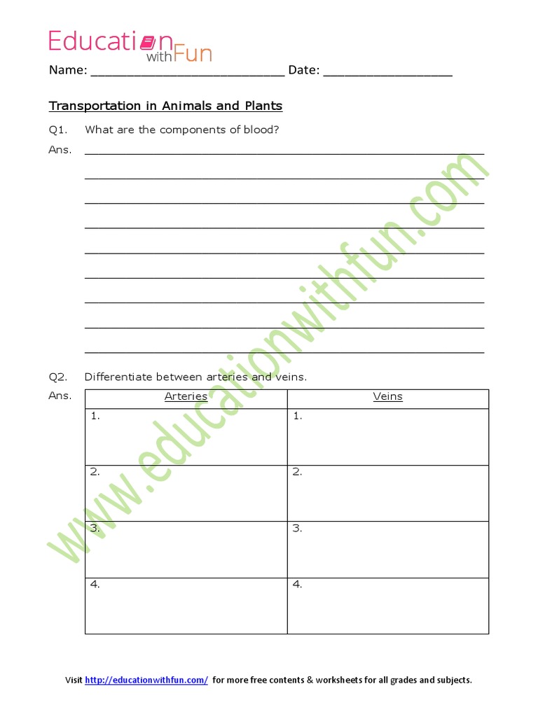 Transportation in Animals and Plants Worksheet 11 PDF | Download Free ...