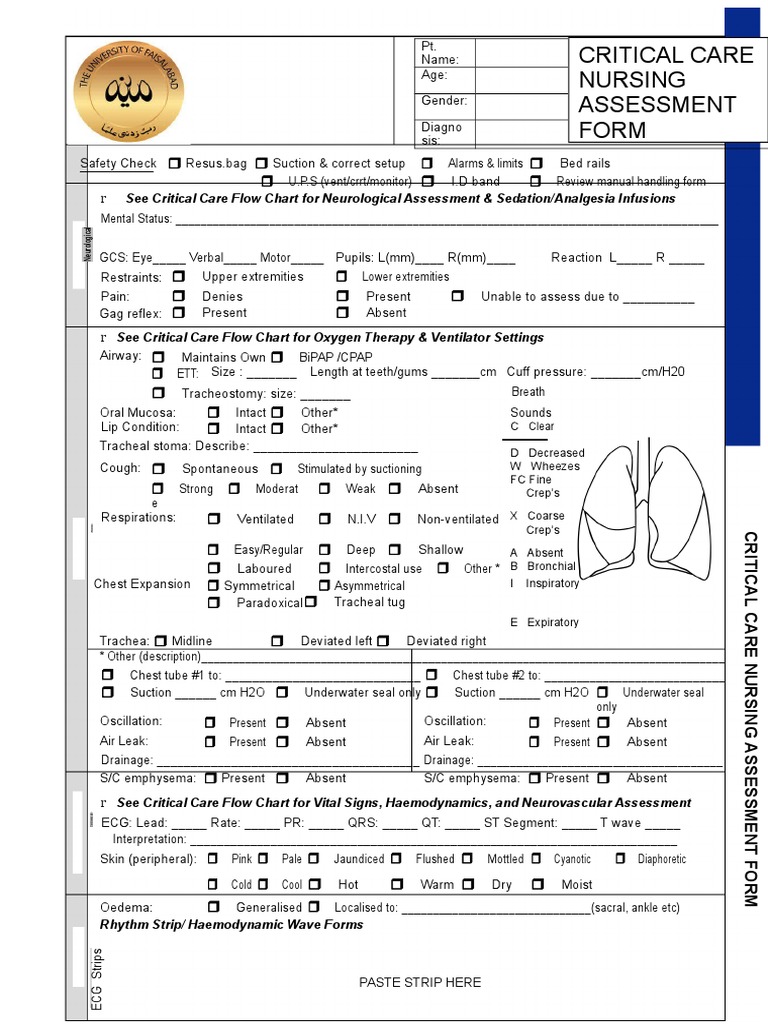 Nursing Assessment Form For Nursing Students
