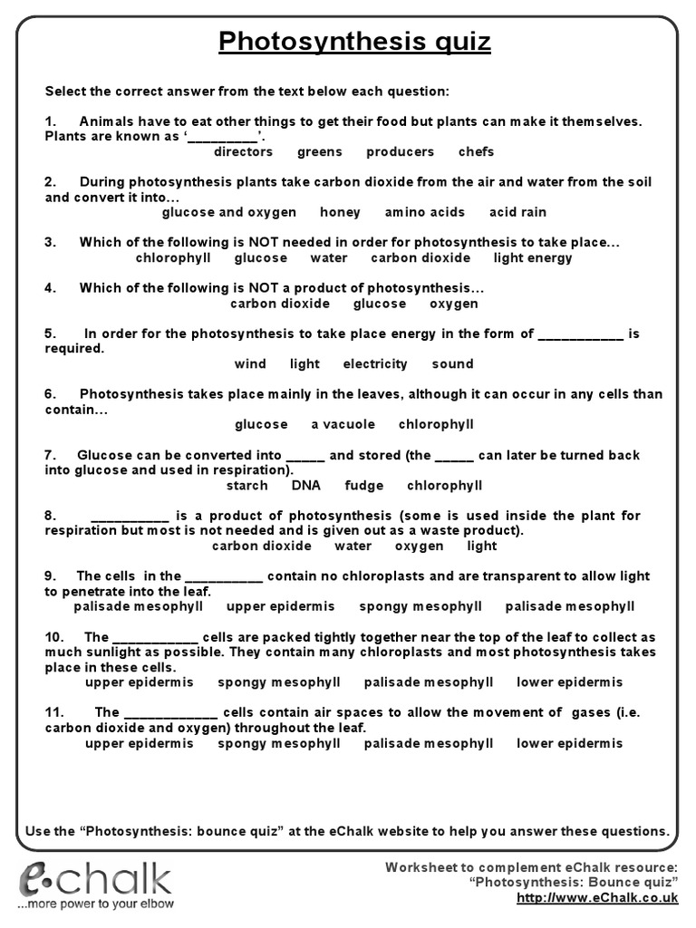 Photosysthesis Test | PDF | Leaf | Photosynthesis