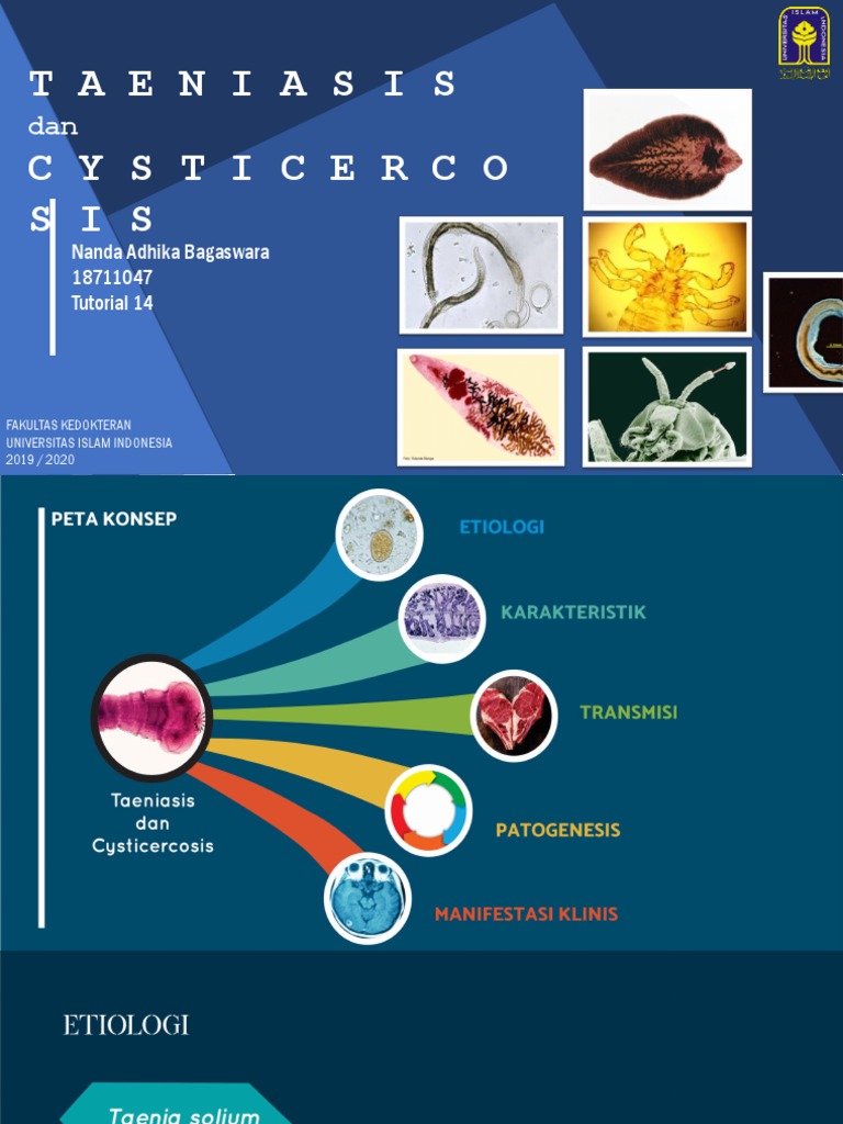 Taeniasis and Cysticercosis: A Review of Life Cycles, Pathogenesis ...