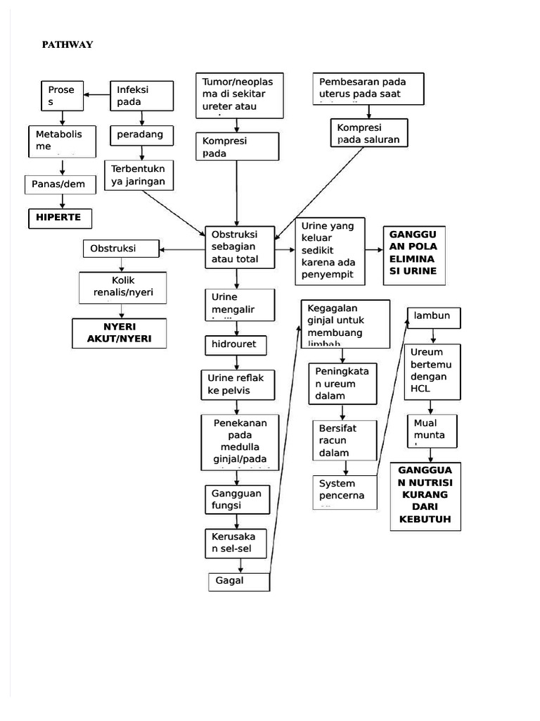 Pathway Eliminasi | PDF