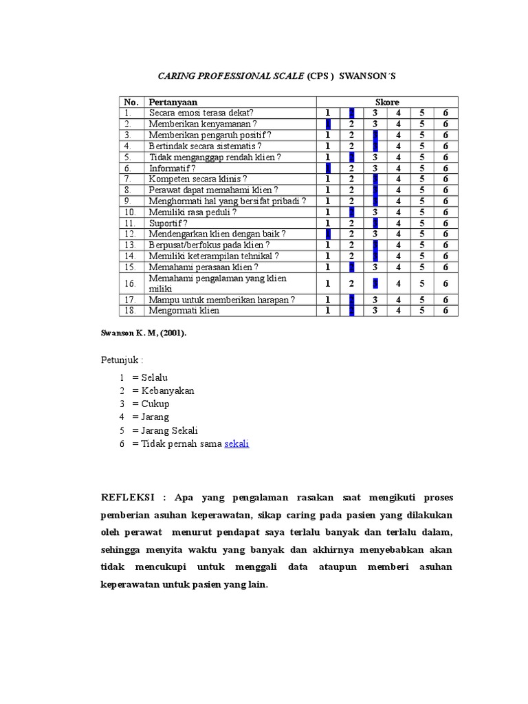 Caring Professional Scale | PDF