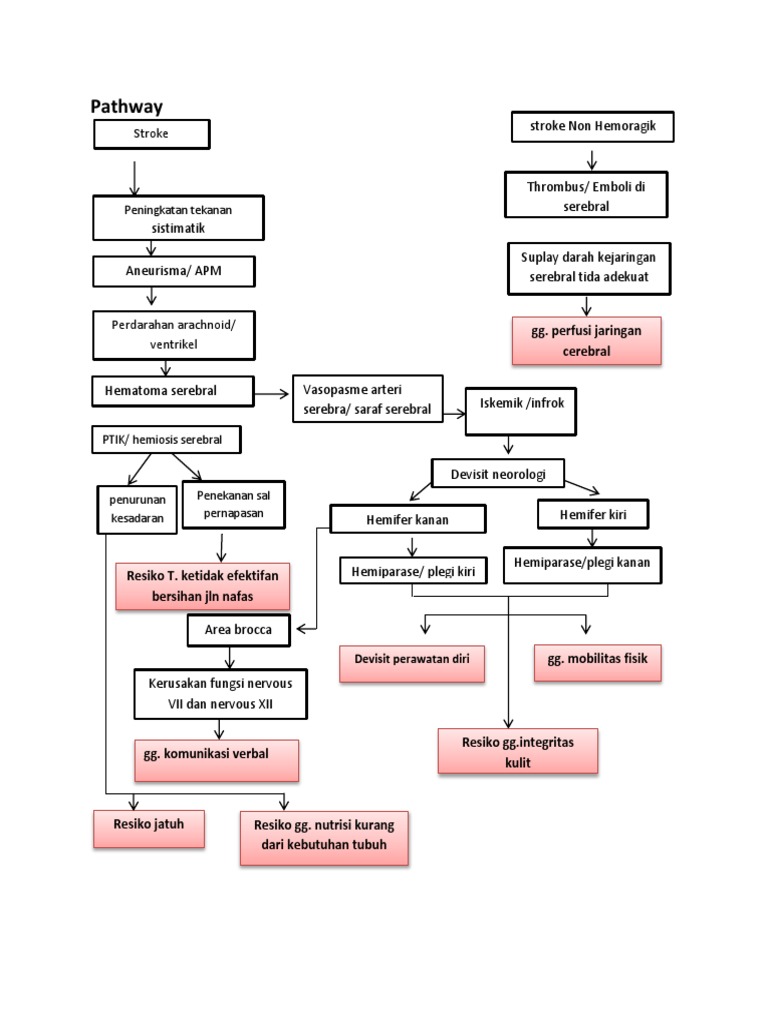 Pathway Stroke | PDF