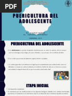 Mapa Conceptual de La Pubertad | PDF | Pubertad | Adolescencia