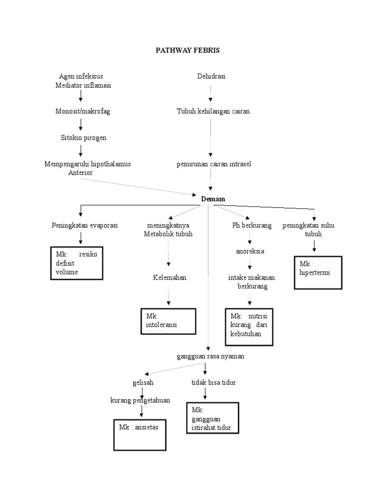 Pathway Febris | PDF