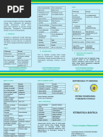 Ibisakuzo Nyarwanda: Ingero 171 | PDF