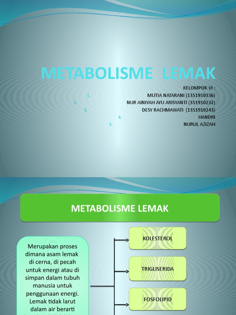 Metabolisme Lemak | PDF
