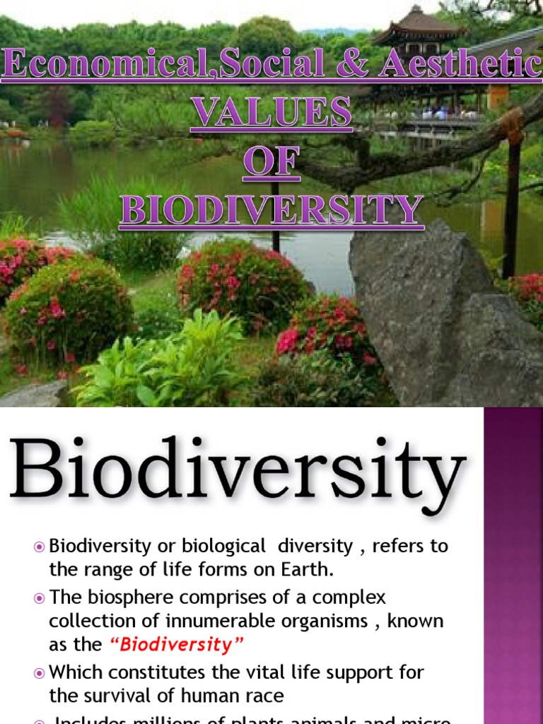 Values of Biodiversity | PDF | Biodiversity | Resource