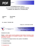 Clasificacion de Baltimore | PDF | Virus | Rna