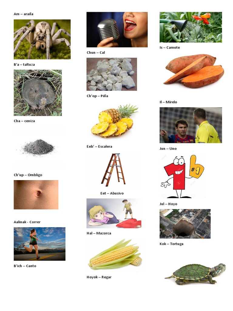 Abecedario en Qeqchi Con Imagenes | PDF