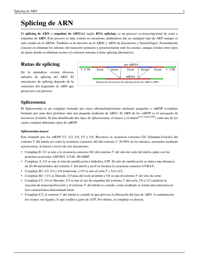 Splicing ARN | PDF | Splicing alternativo | Rna Splicing