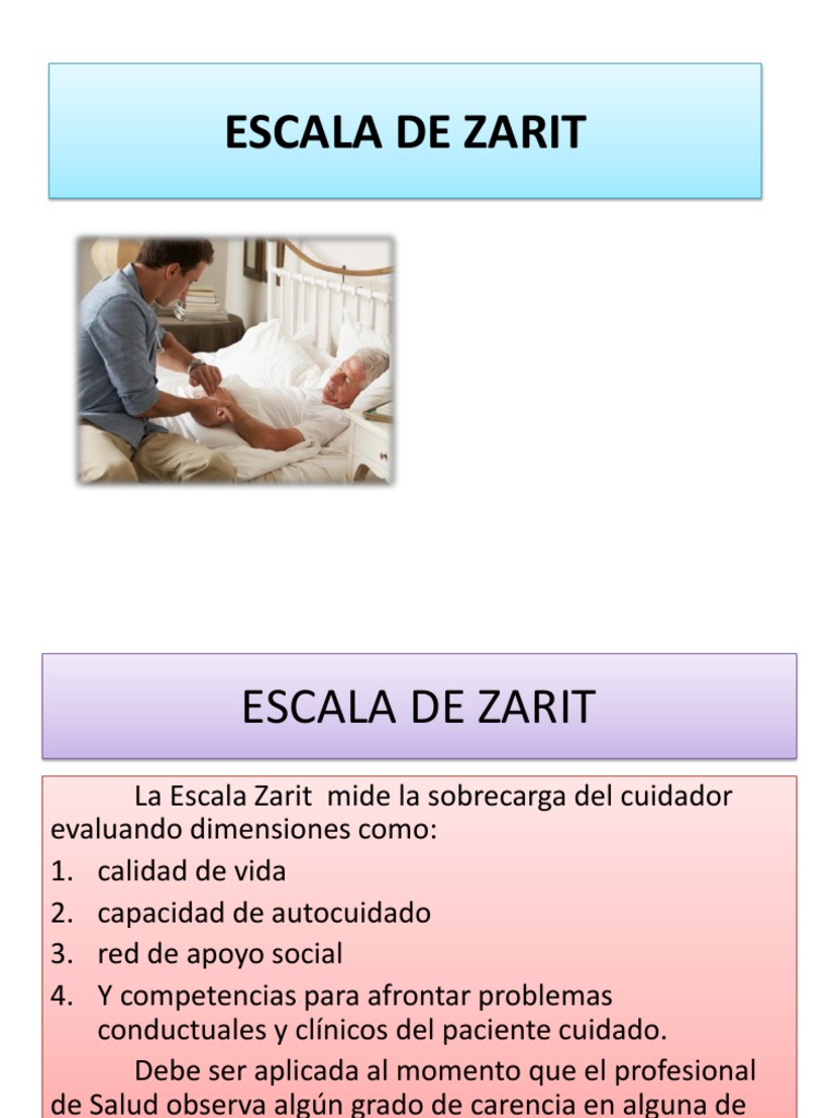 La Escala de Zarit: una herramienta para medir la sobrecarga del ...
