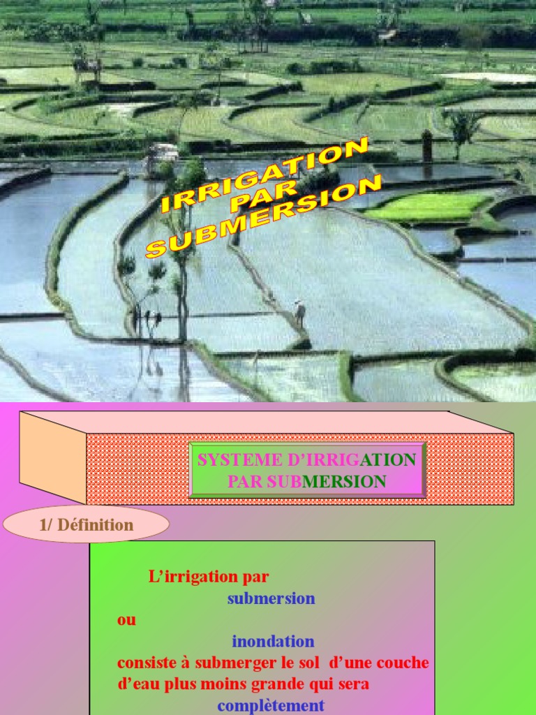 Irrigation Par Submersion | PDF | Irrigation | Sol (pédologie)