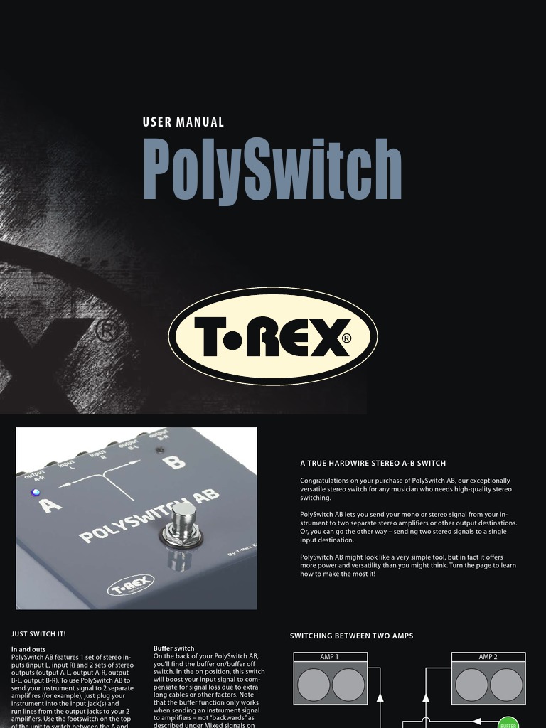 Polyswitch USER MANUAL | PDF | Amplifier | Power Supply