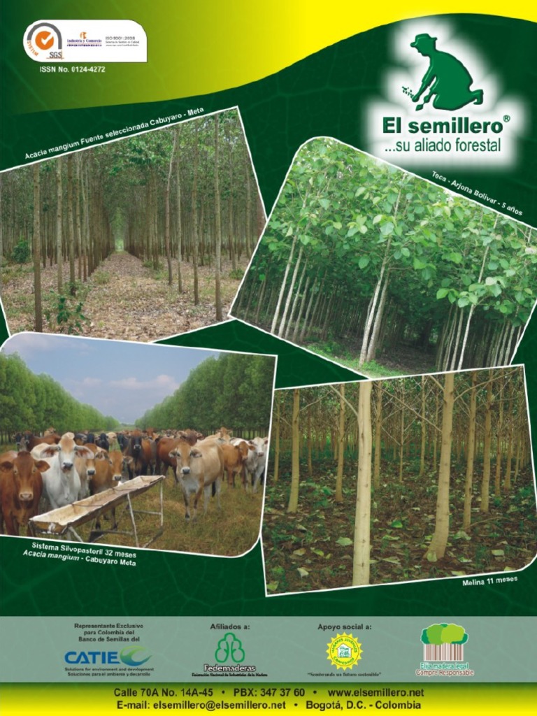 Catalogo El Semillero PDF | PDF