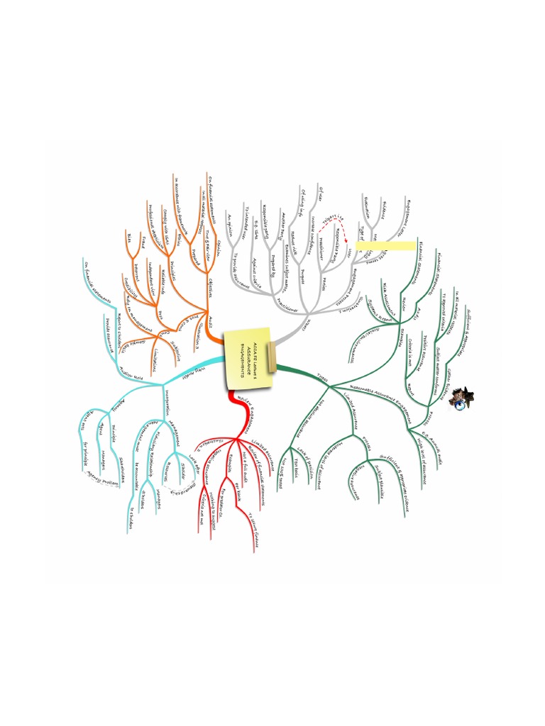 F8 ACCA Mind Map | PDF