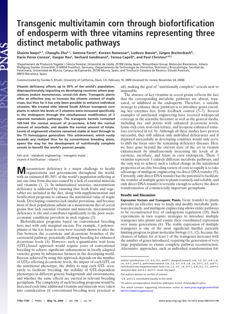 Biofortified Corn for Vitamin Deficiency | PDF | Plant Breeding ...