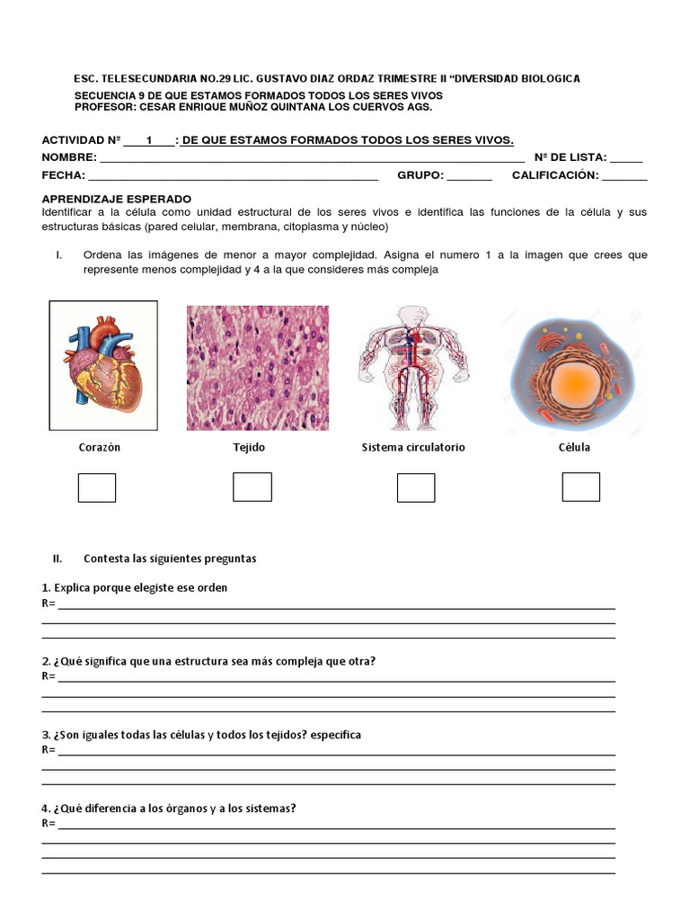 La composición celular de los seres vivos | PDF | Citoplasma | Biología ...