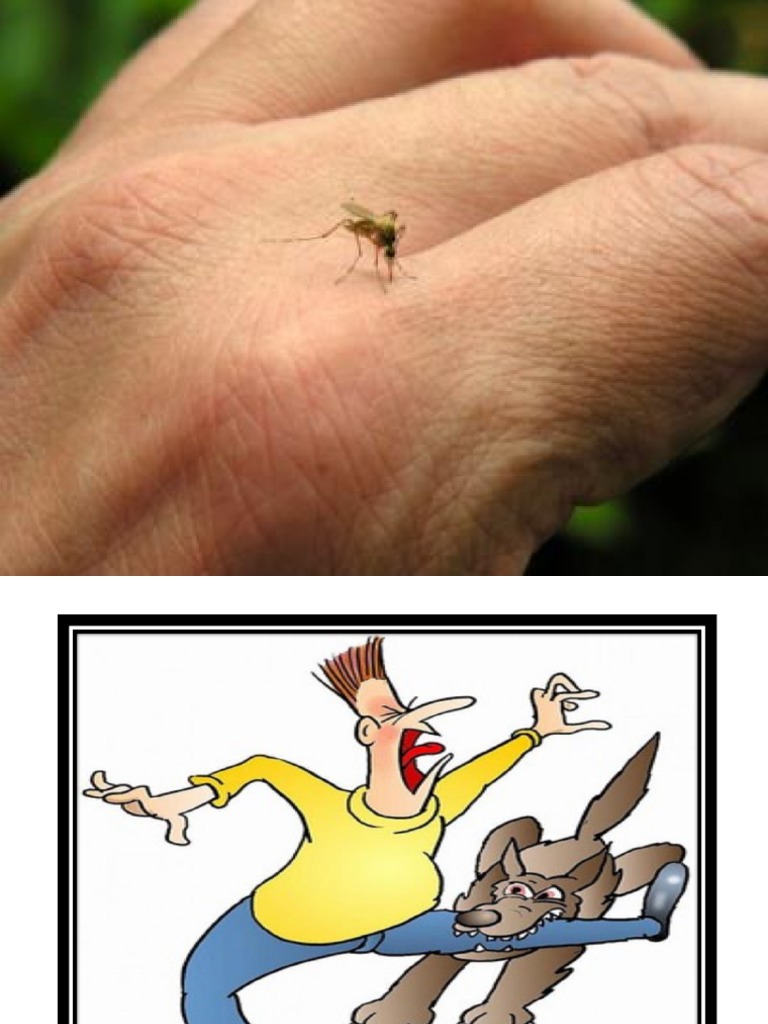 HEALTH 5 Kagat NG Insekto at Aso | PDF