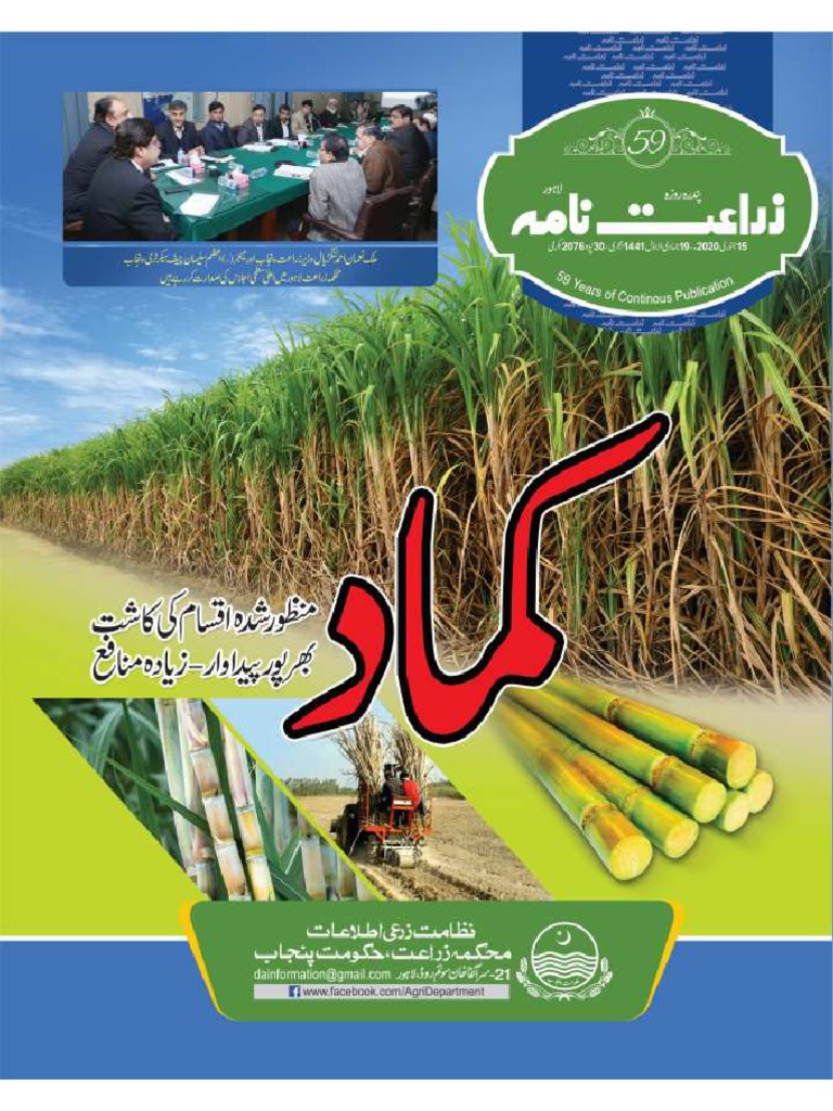 15th January 2020 Zarat Nama Punjab Govt | PDF