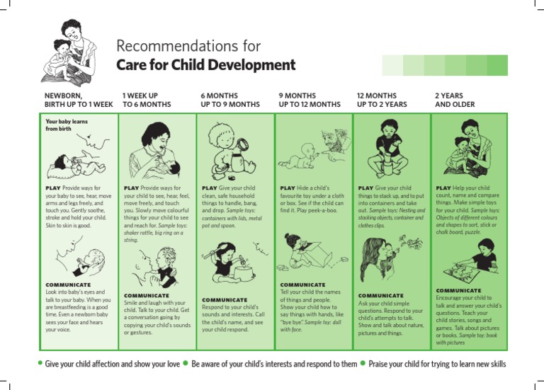 Child Development Poster | PDF | Toys | Child Development