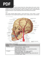 Regio Kepala Dan Leher Anatomi Topografi | PDF