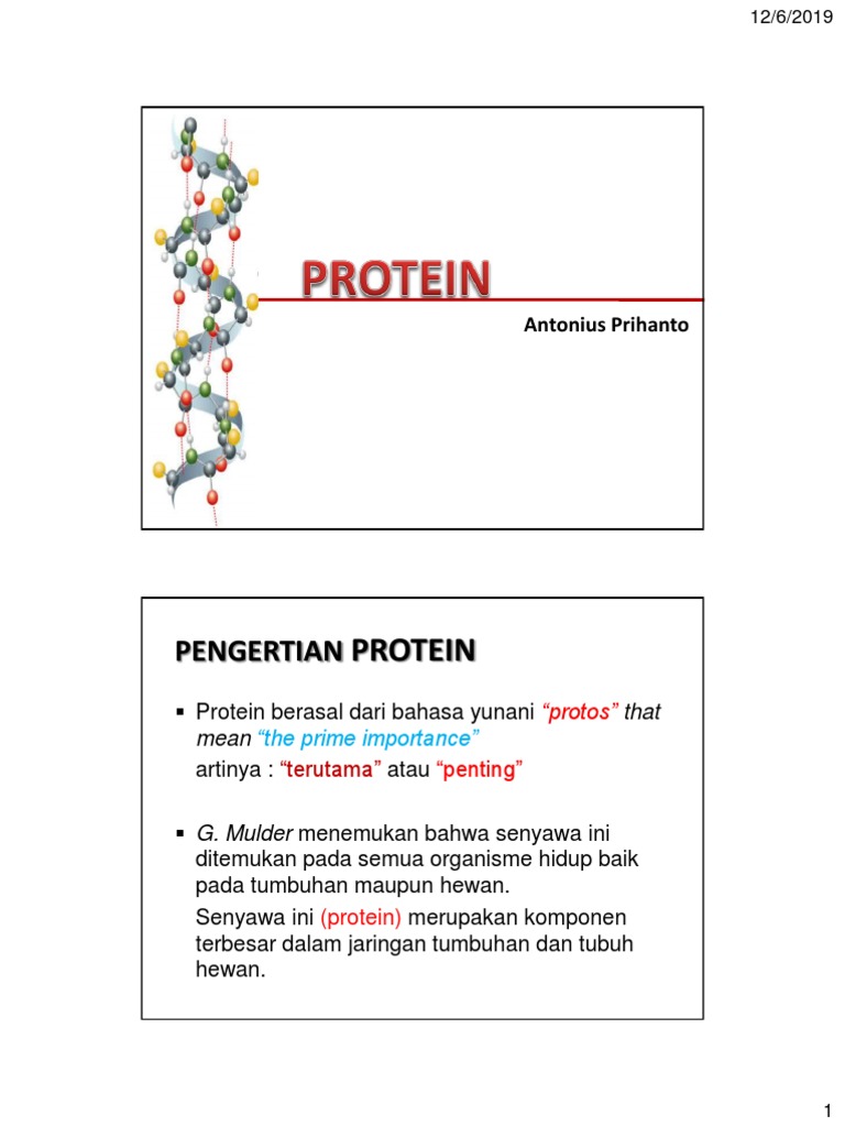 Protein PDF | PDF