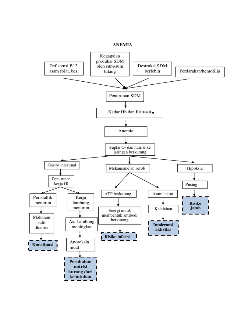 Pathway & Askep | PDF
