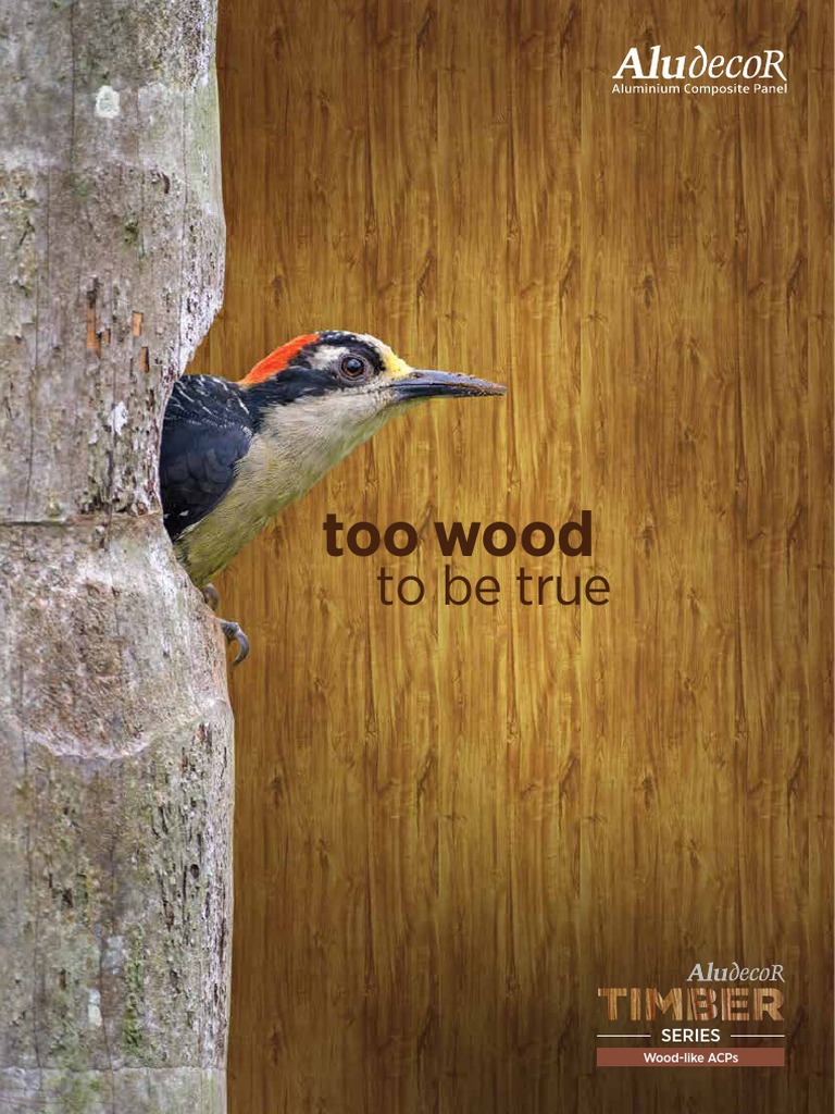 Timber E Catalogue | PDF | Forest Products | Wood