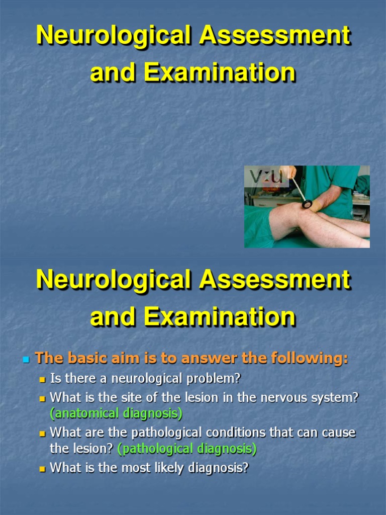 Neurological Assessment Overview | PDF | Neuroscience | Human Head And Neck