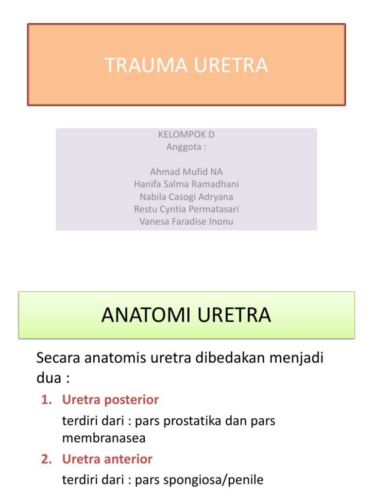 Trauma Uretra | PDF